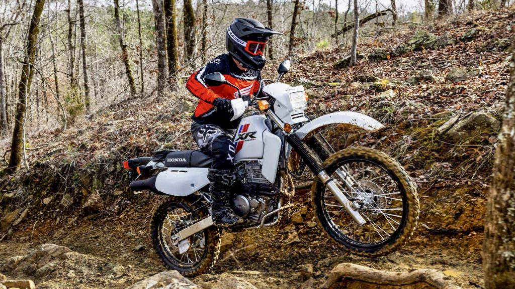 2025 Honda XR650L: The Dual-Sport Legend Returns - Gearhead Daily